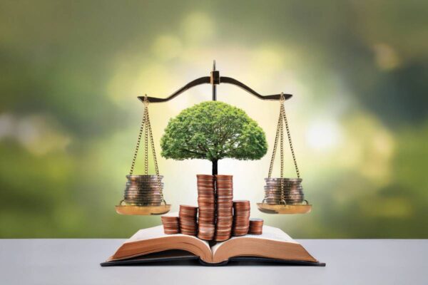 The Financial Inclusion Movement: How women are driving economic ...